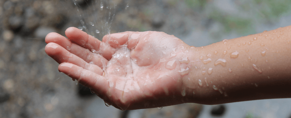 Can You Drink Rain Water? A Complete Guide to Rainwater Treatment