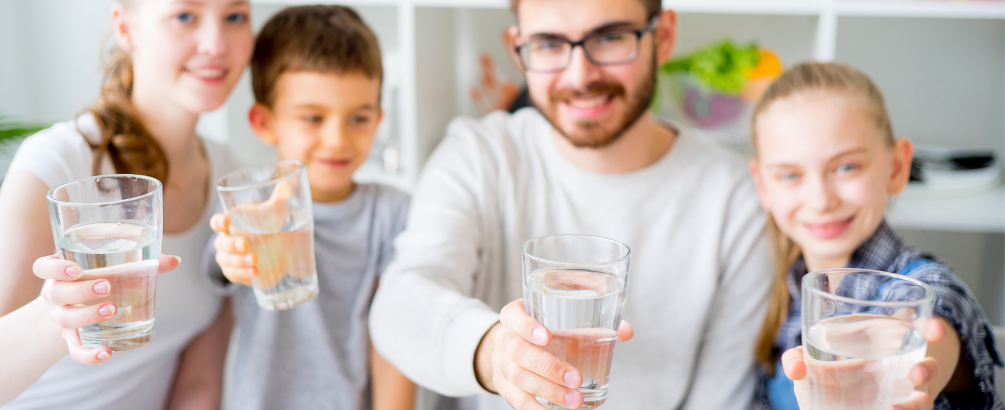 Guia de comparação de filtros de água de osmose reversa da série X