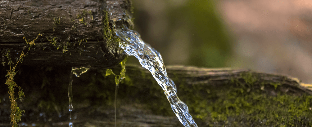 What Is Spring Water | A Complete Guide to Natural Spring Water