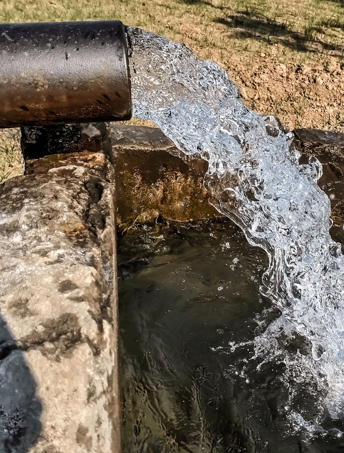 Reverse Osmosis Water Filters & Water Purifier Systems | Waterdrop EU